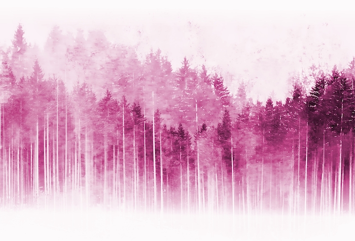 Magenta Pine Forest Wallpaper