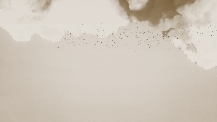 Soft Neutral Bird Clouds Wallpaper for Sale - Happywall