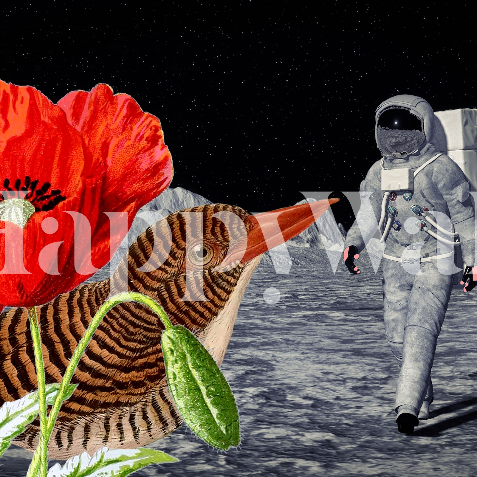 Astronaut Bird