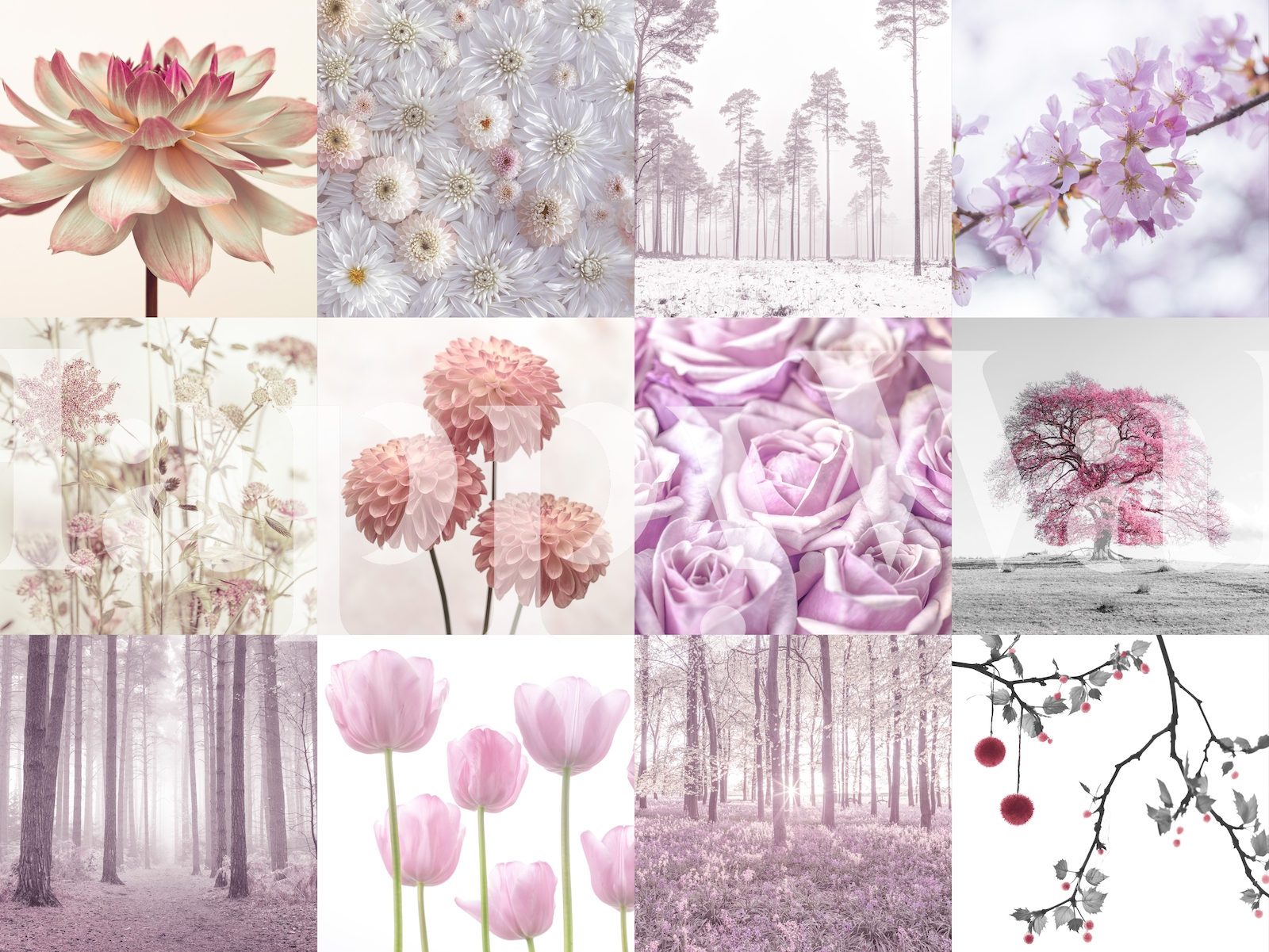Pink Floral Mural Wallpaper for Elegant Decor