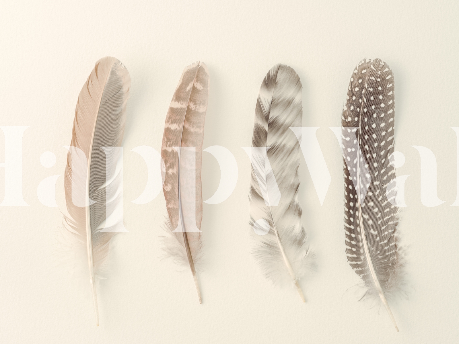Study of Feathers Wallpaper | Shop Now at Happywall.com