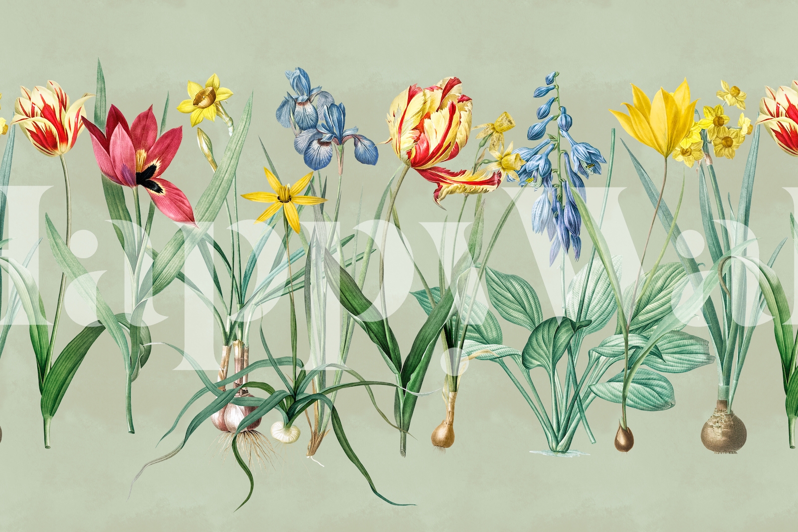 Buy Nostalgic Springflowers Meadow Wallpaper | Happywall