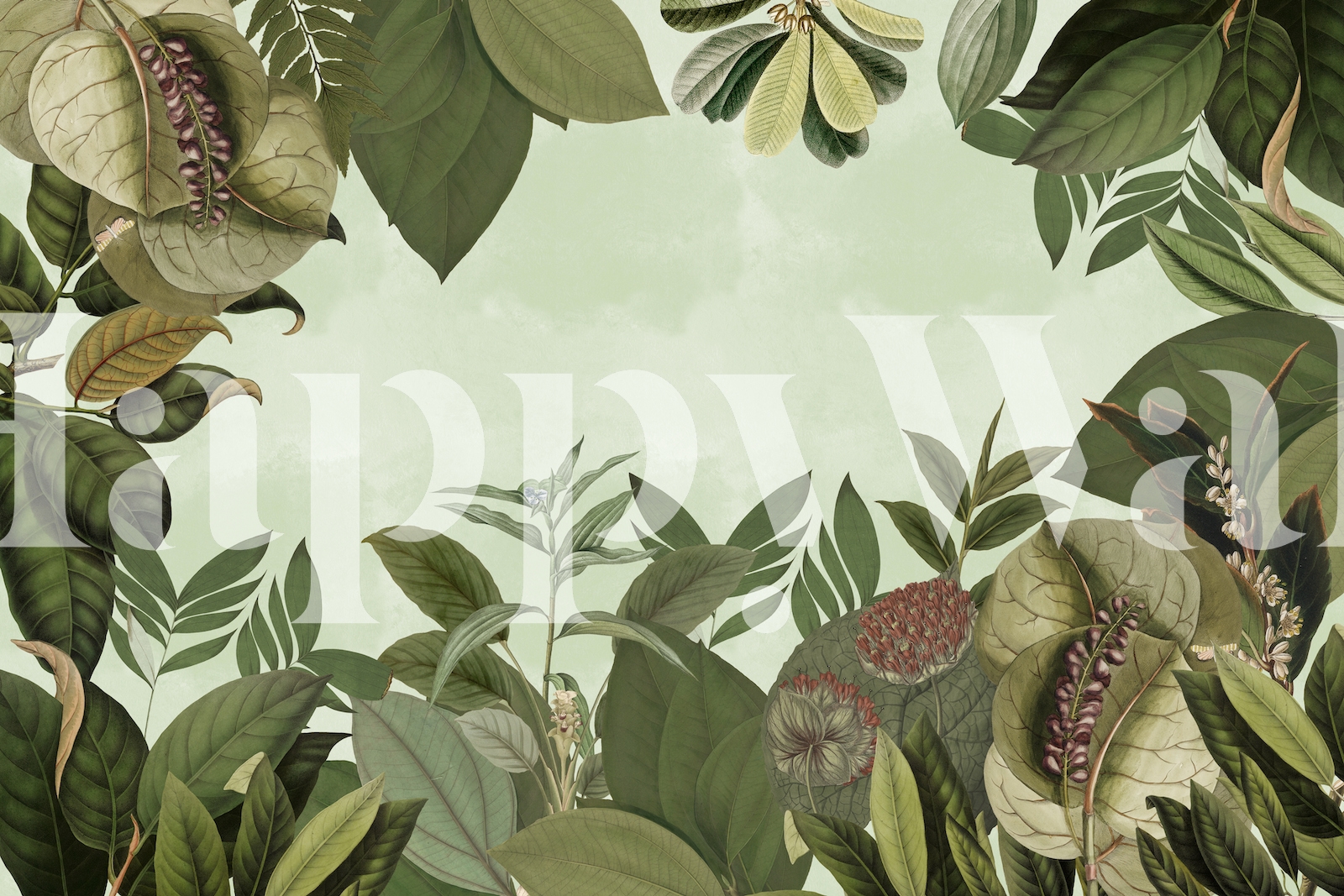 Exotic Vintage Garden II Wallpaper | Buy Online at Happywall