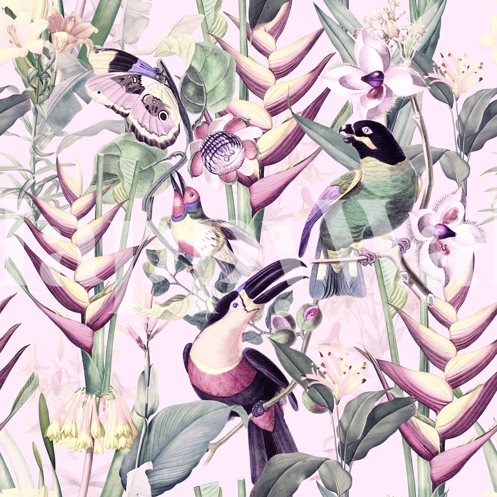 Buy Welcome Jungle 01 Wallpaper Online | Happywall