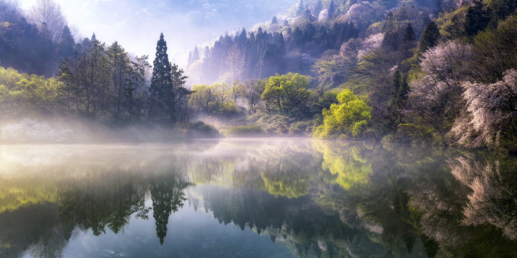 Morning Calm Wallpaper | Buy Custom Wall Mural | Happywall