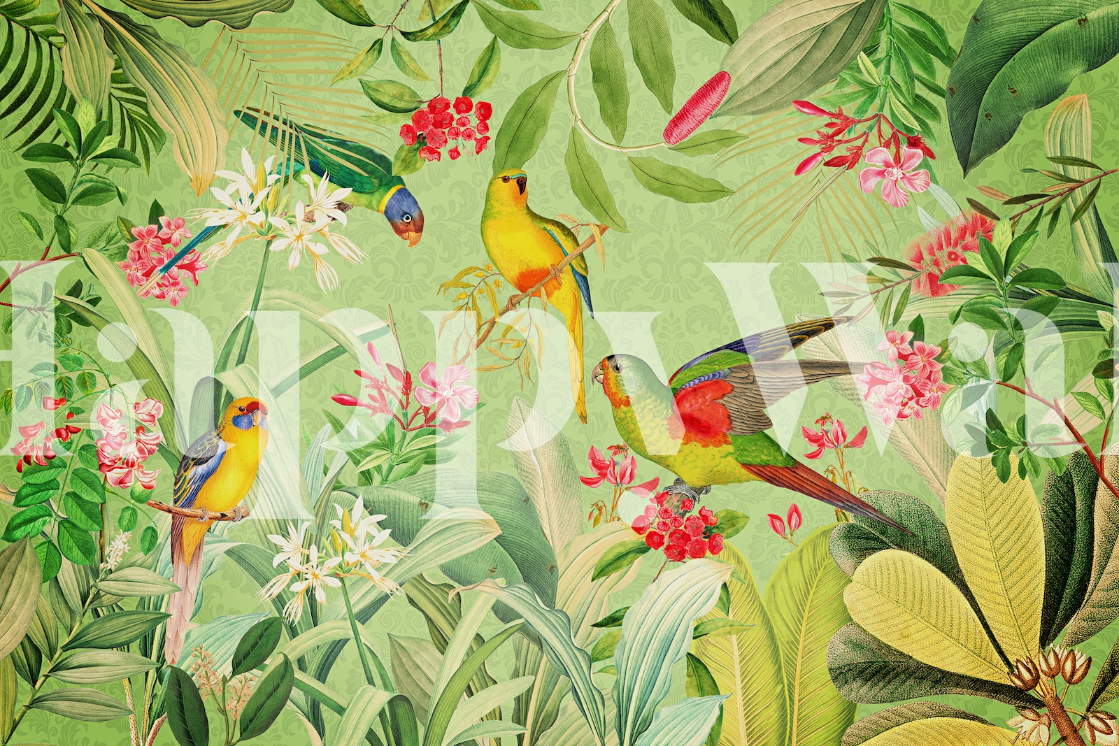 Vintage Tropical Bird Peel and Stick Wallpaper