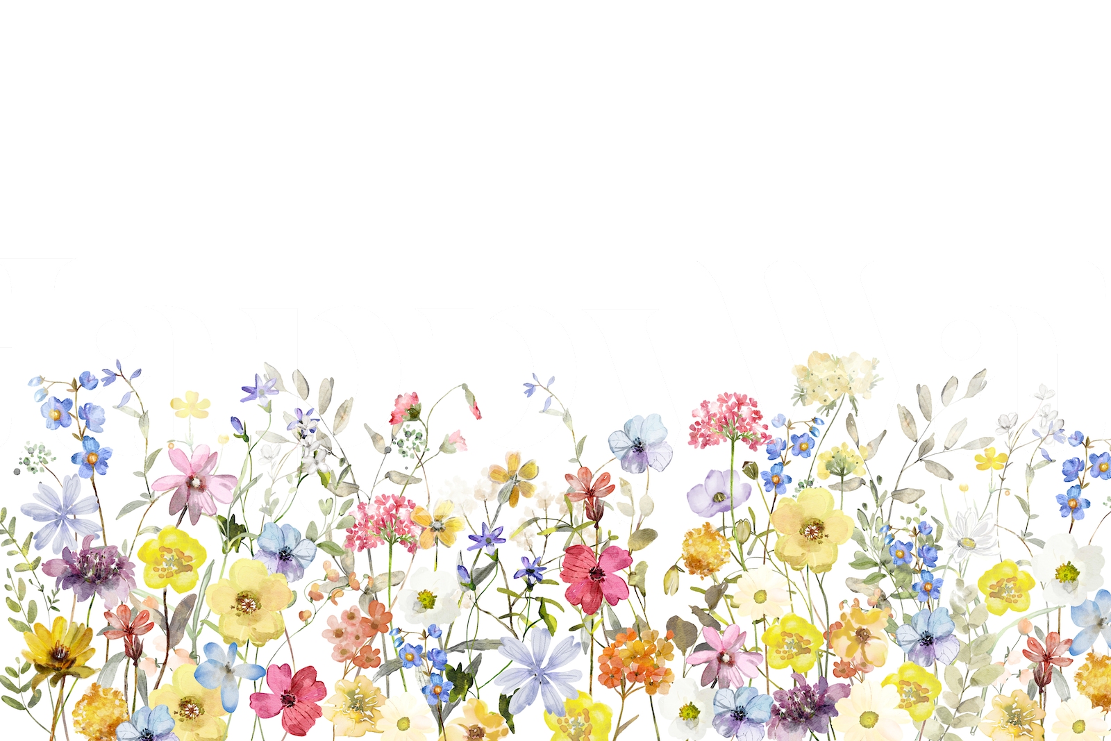 Colorful Wildflower Meadow Wallpaper