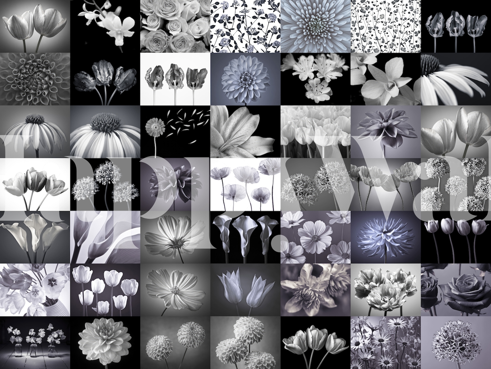 Flower Collage Wallpaper | Happywall.com
