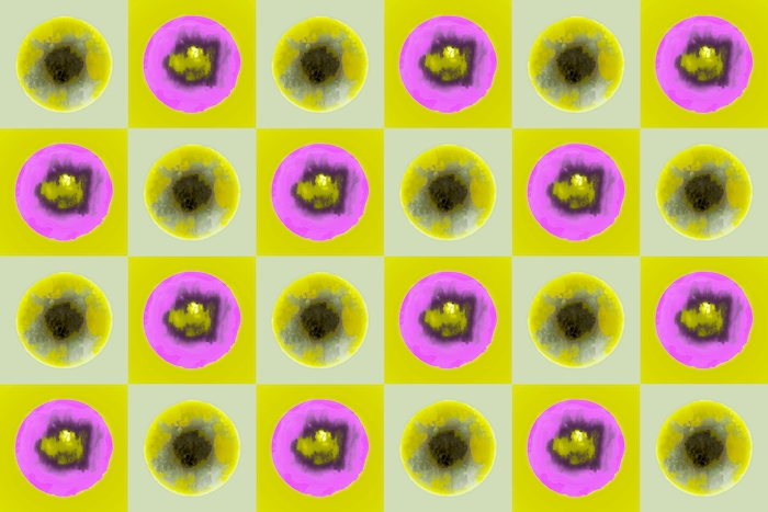 Groovy Pop Art Flowers Wallpaper - Happywall
