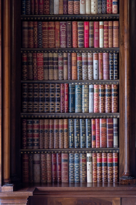 Antique Library Bookshelf Wallpaper