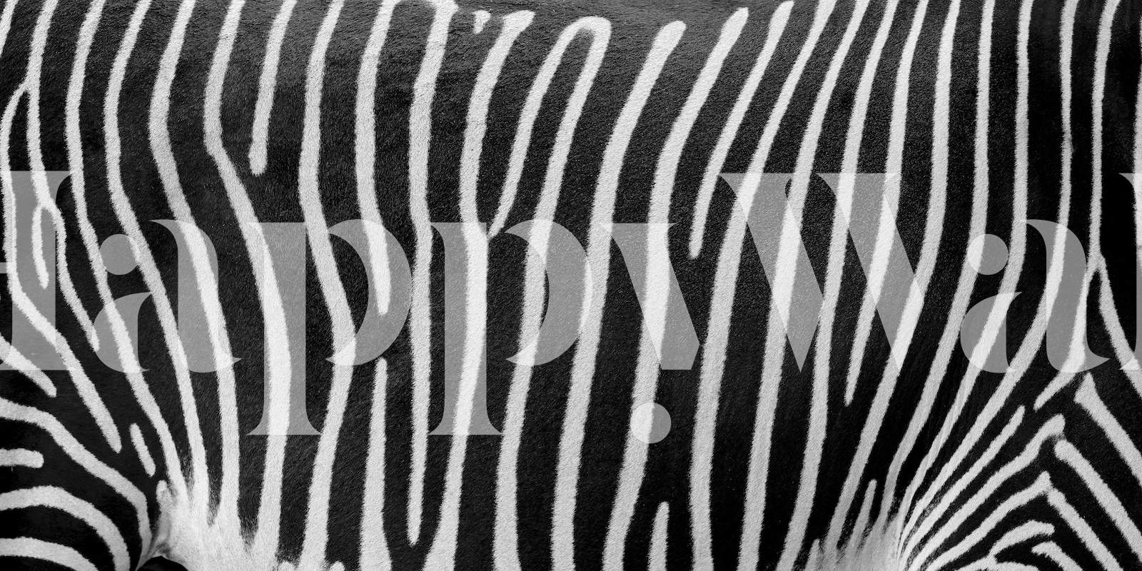 Stripes of the Wild Wallpaper | happywall.com