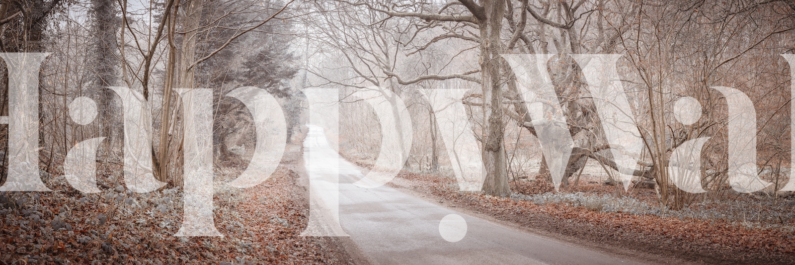 Tranquil Trail Wallpaper - happywall.com