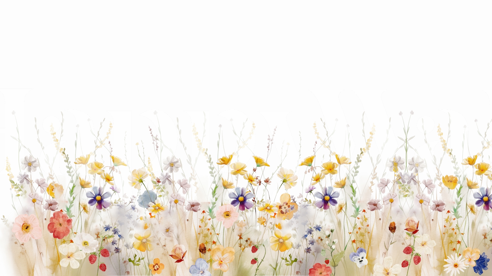 Floral Wildflower Wallpaper for Bedroom or Living Room