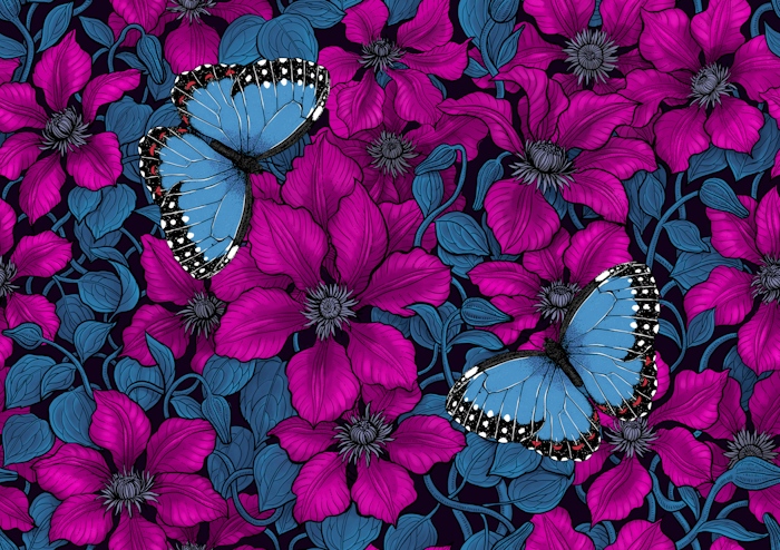 Pink Clematis and Blue Butterflies Wallpaper