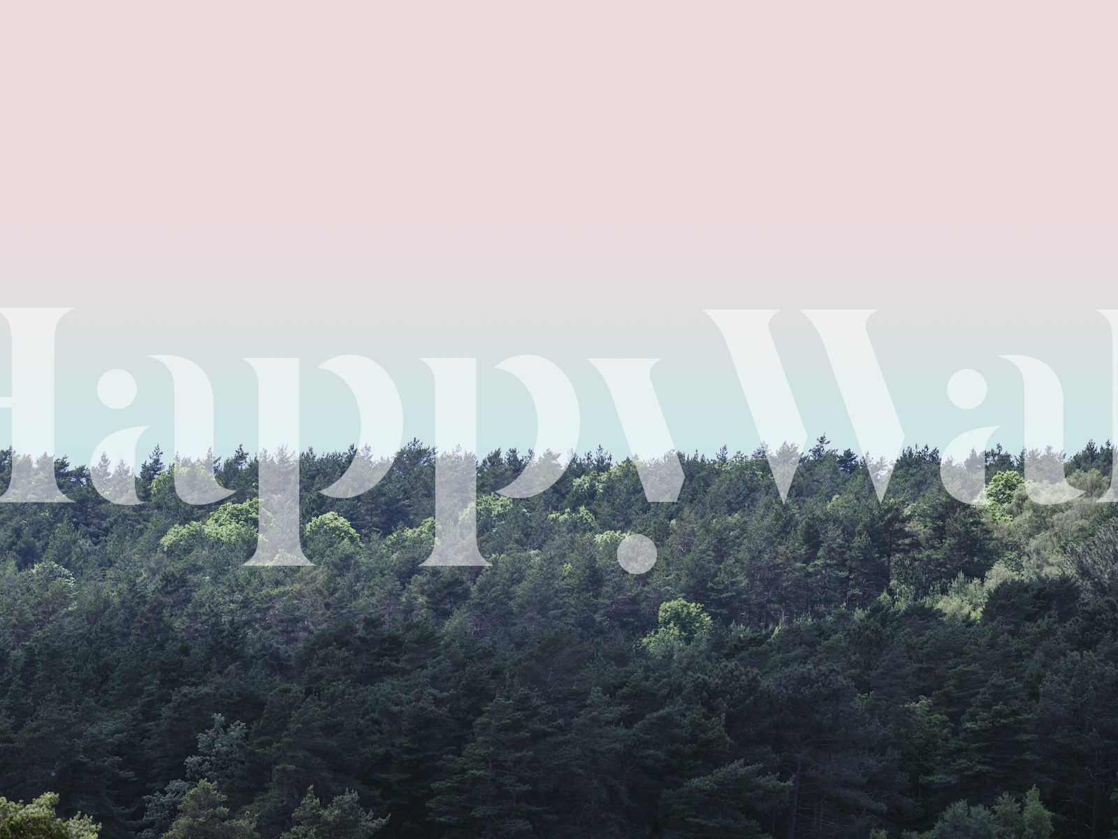 Trees Tops at Dusk Wallpaper - Happywall