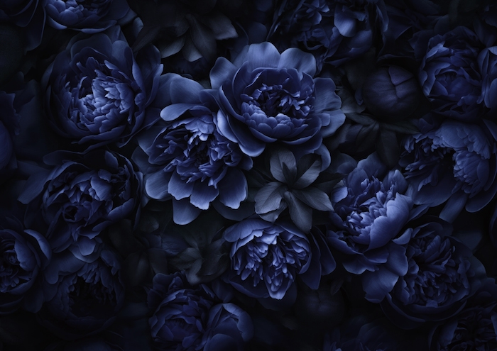 Midnight Blue Floral Wallpaper for Modern Homes