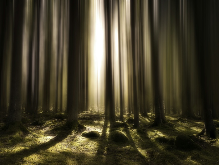 Breath of Life Wallpaper - Buy from Happywall