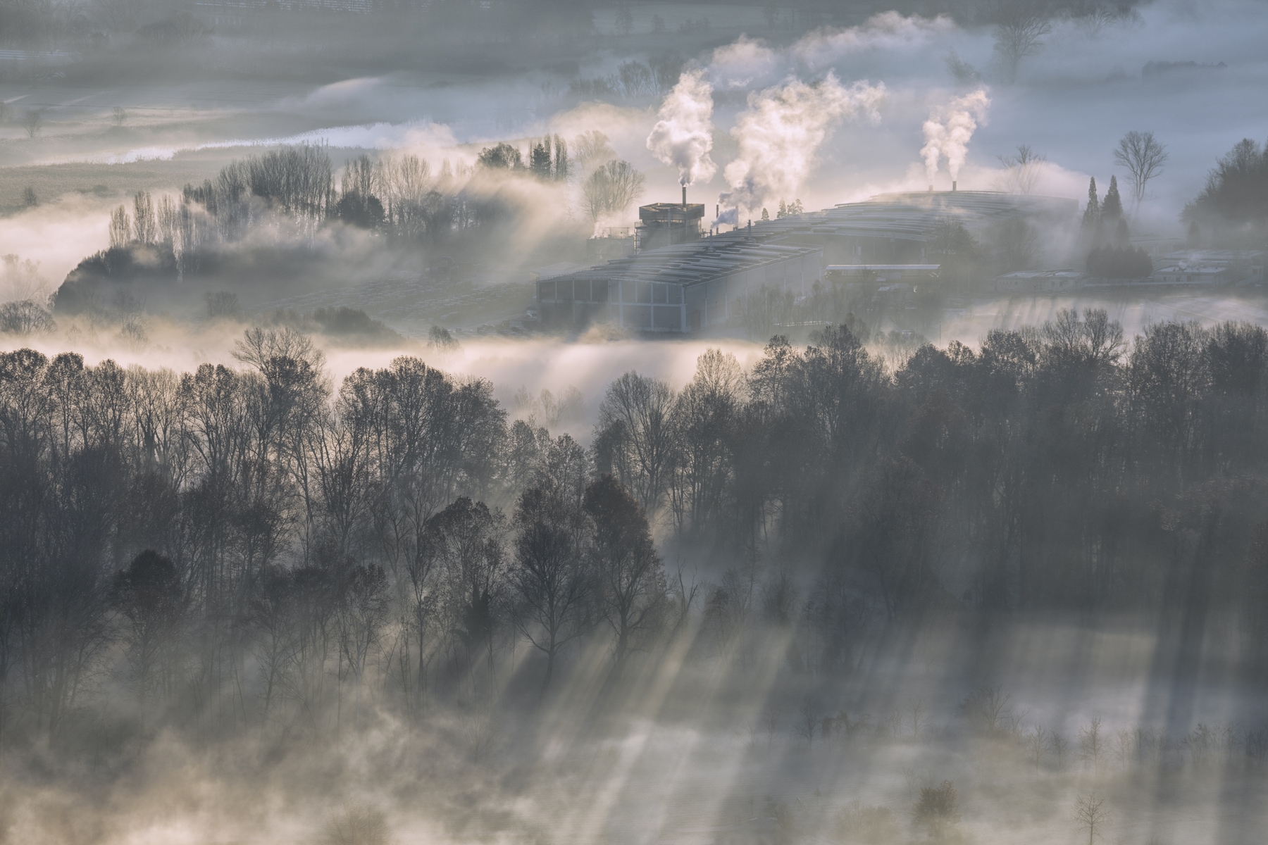 Shop Work Area Wallpaper | Happywall