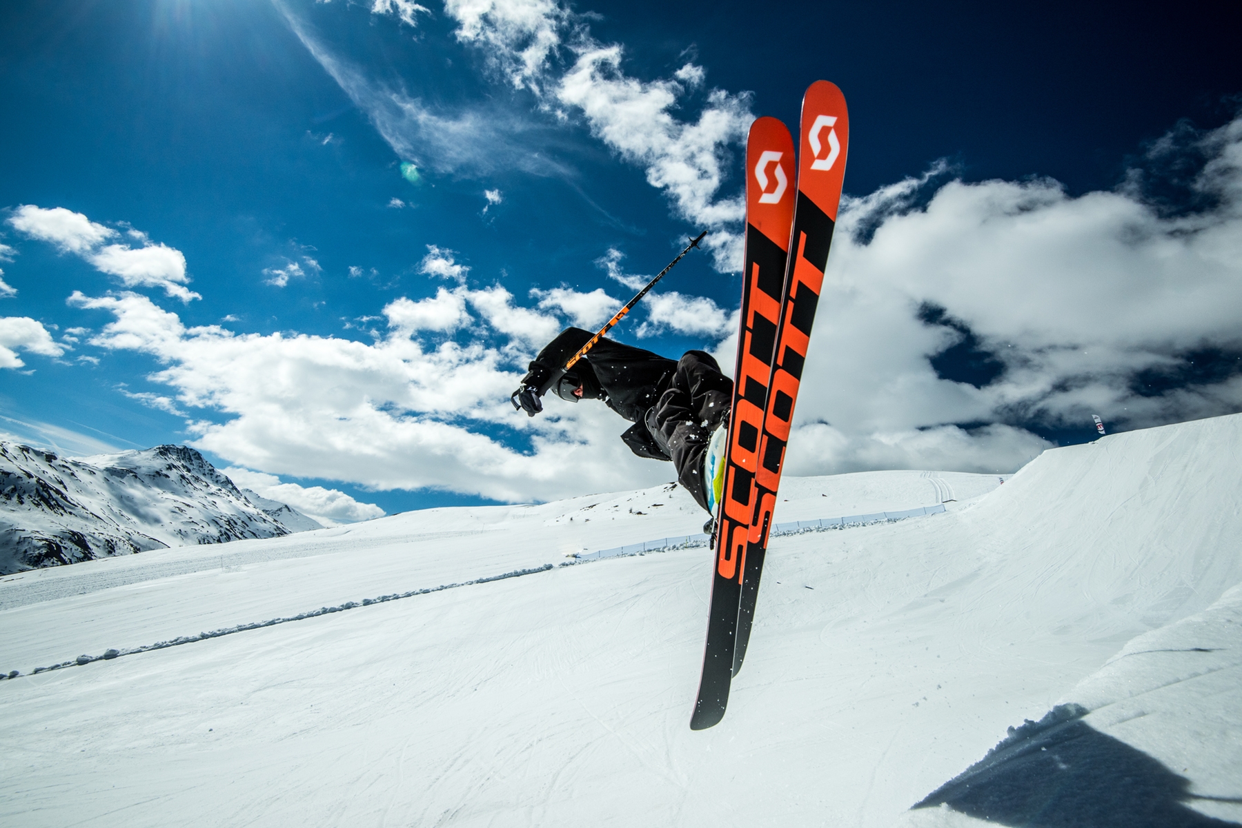 Park Rat Wallpaper | Happywall | Shop Now