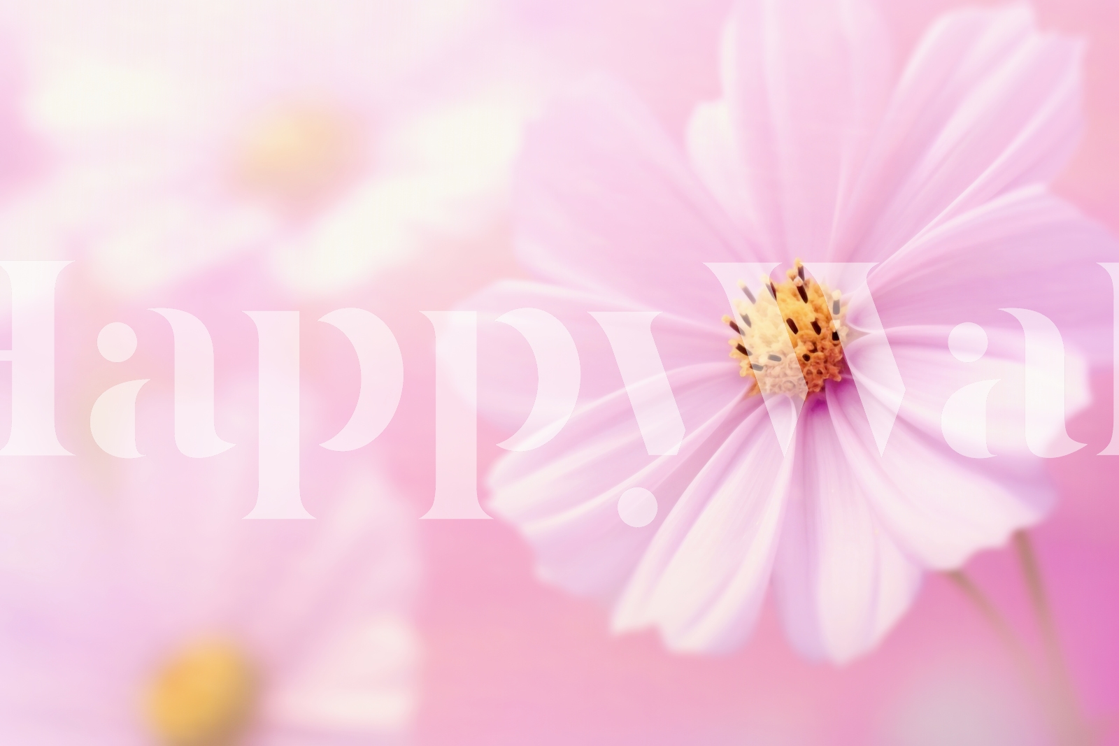 Beautiful Summer Day Wallpaper - Happywall