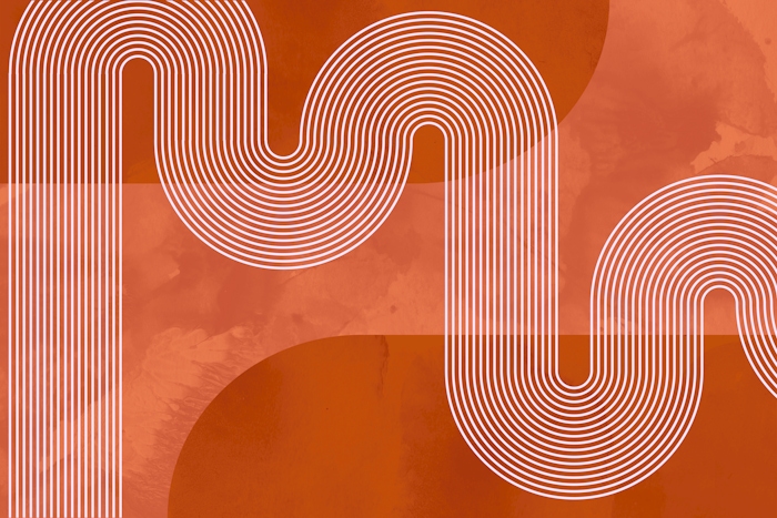 Mid Century Modern Curvy Lines Orange Wallpaper