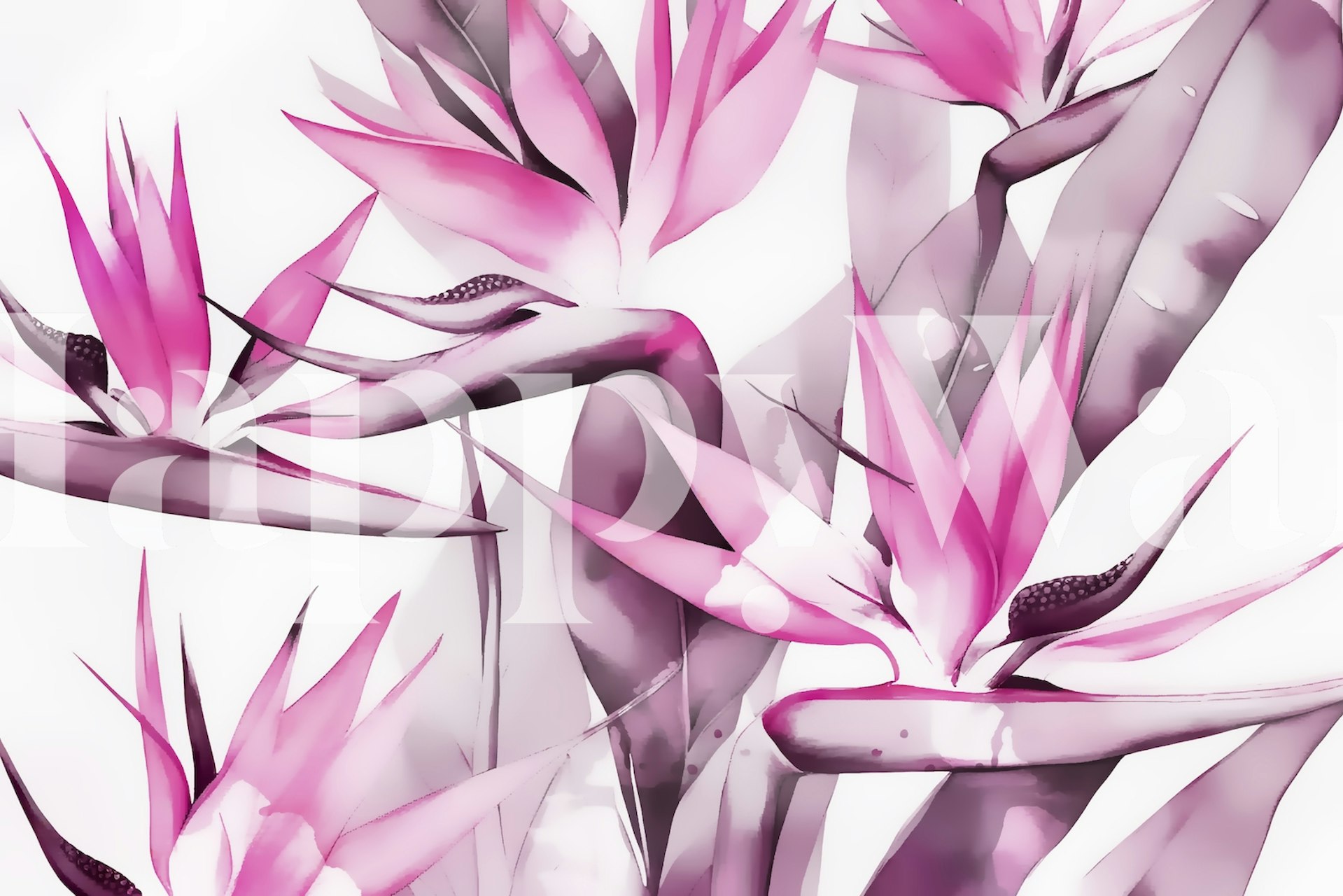 Abstract Bird of Paradise Watercolor wallpaper | Happywall