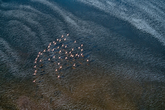 Buy Wave Runner Wallpaper Online - Happywall