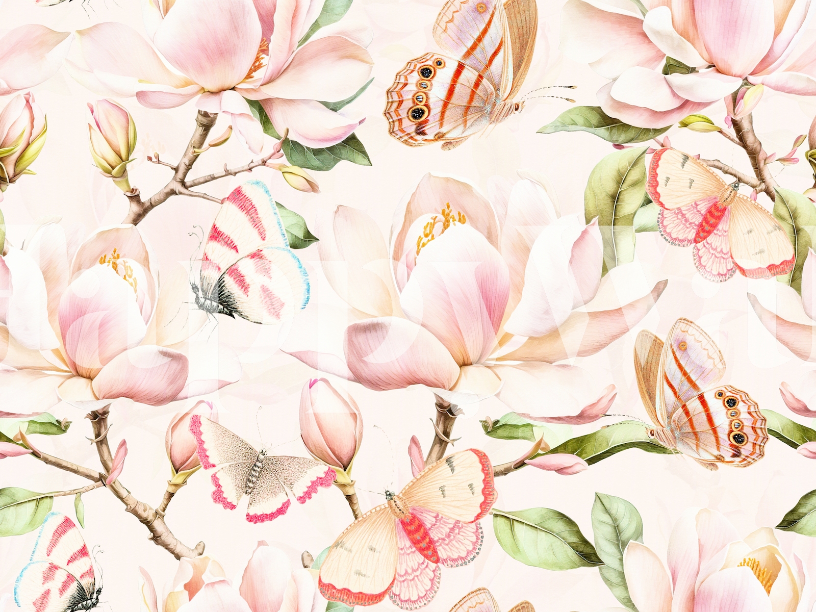 Pink Floral Magnolia Wallpaper