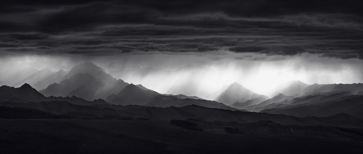 Buy See Through Wallpaper Online | Happywall