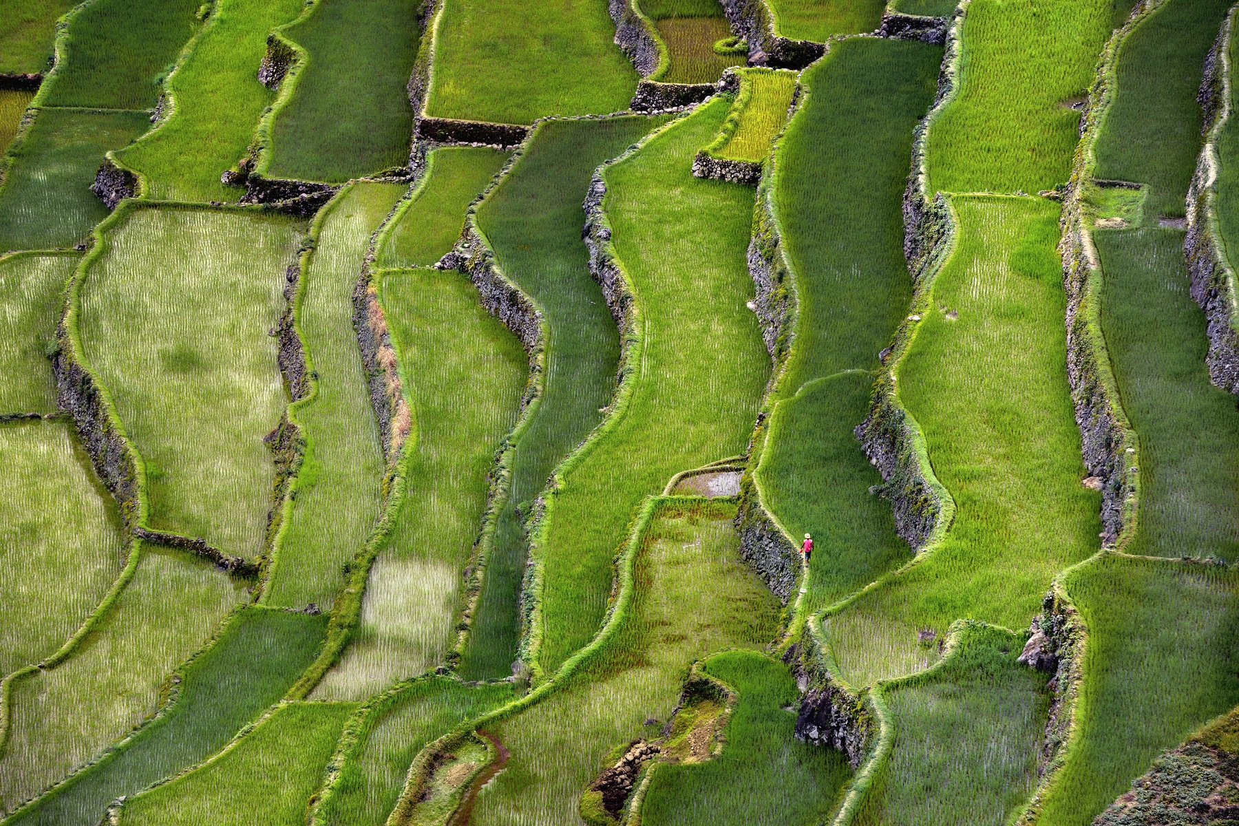 Terrace Walking Wallpaper - Brighten Up Your Home with Happywall