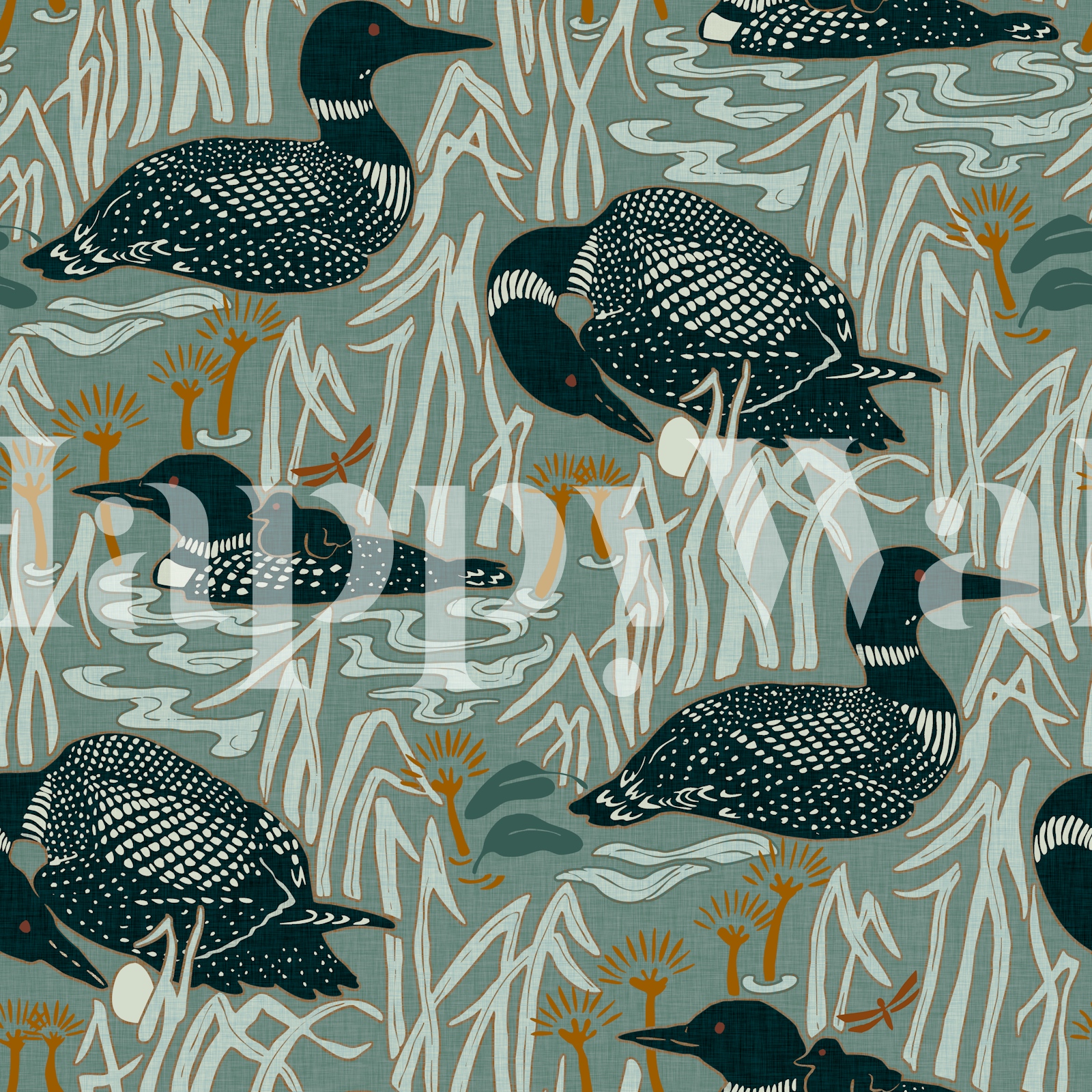 Loons on Lake Wallpaper for Nature Lovers