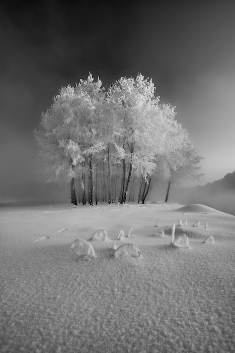 The First Snow Wallpaper | Happywall