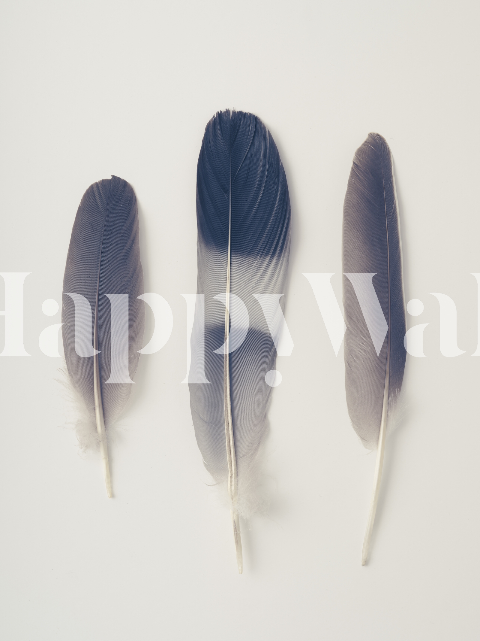 Soft Elegance Wallpaper | happywall.com