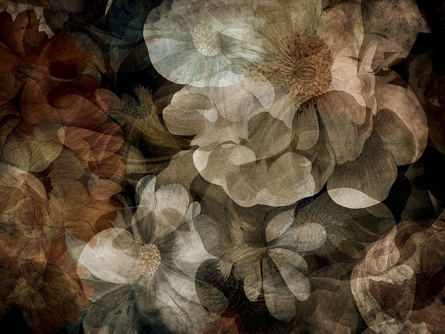 Moody Fall Flowers wallpaper | Happywall