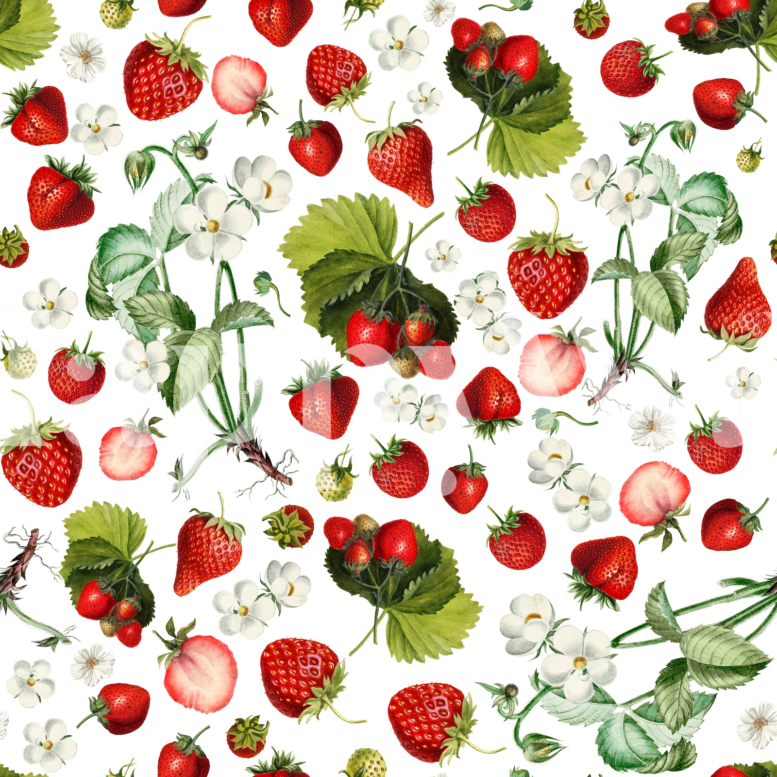 Strawberry Love 1 Wallpaper | happywall.com