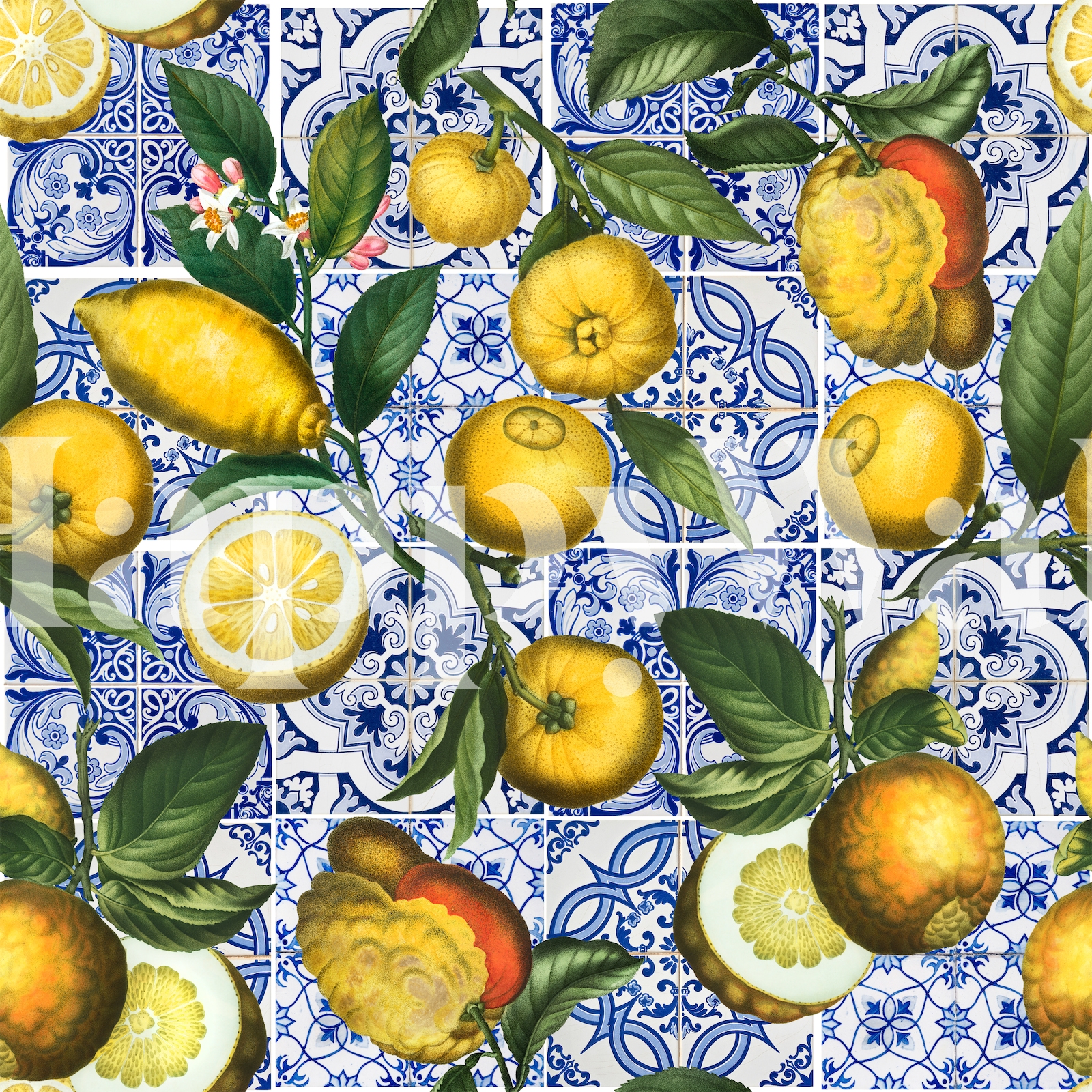 Lemon Fruits and Tiles Wallpaper
