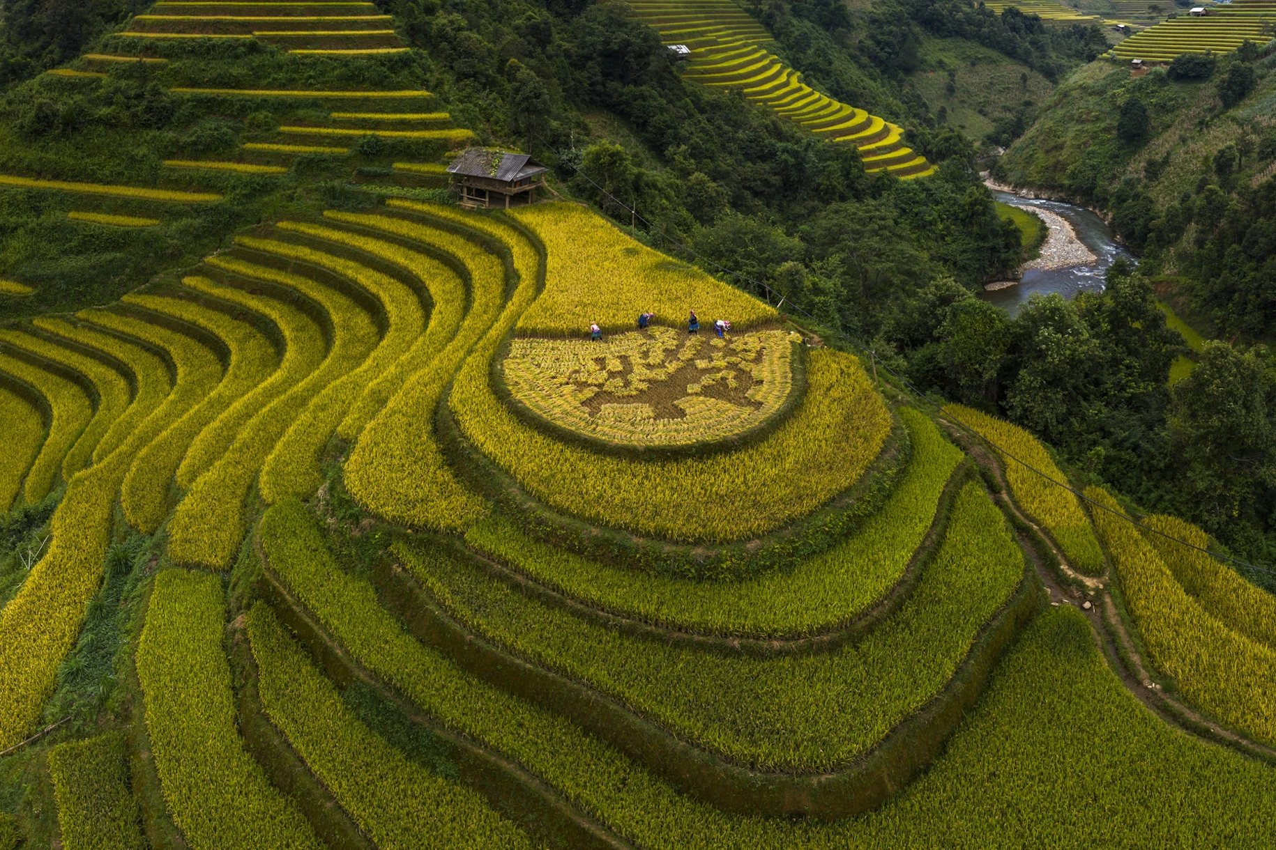Buy High-Quality Mu Cang Chai Vietnam Wallpaper Online | Happywall