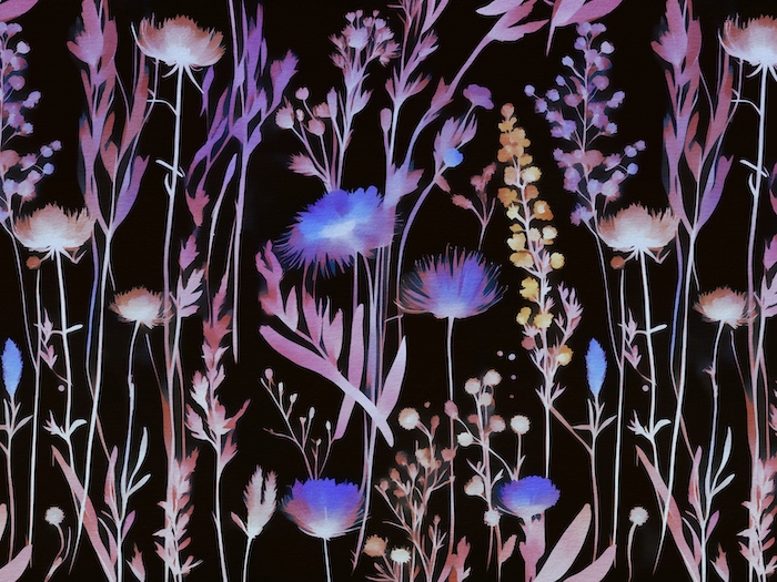 Vivid Moody Wildflowers Wallpaper