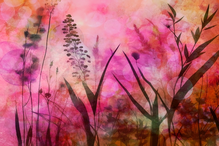 Peach Floral Abstract Wallpaper