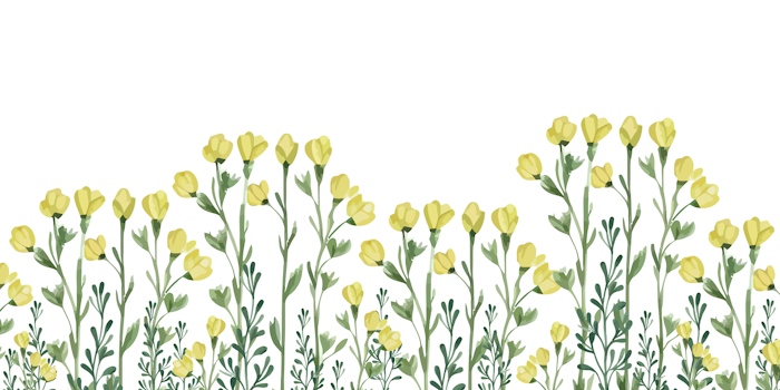 Flowers Happy Clean Wallpaper - happywall.com