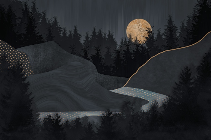 Midnight Forest Full Moon Landscape Wallpaper