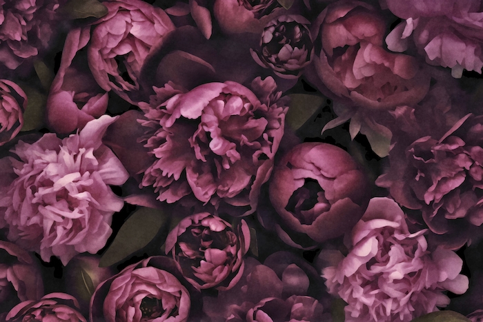 Moody Mauve Pink Peonies Wallpaper - Happywall.com