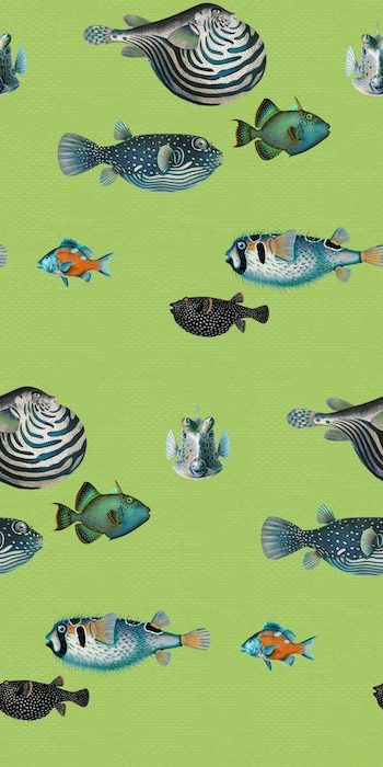 Acquario Fish Pattern Wallpaper | Happywall