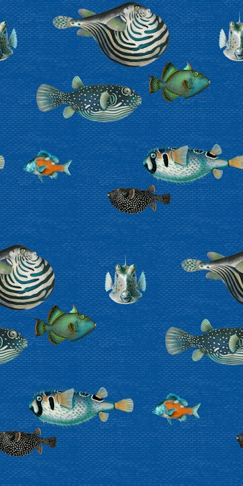 Cobalt Blue Fish Pattern Wallpaper