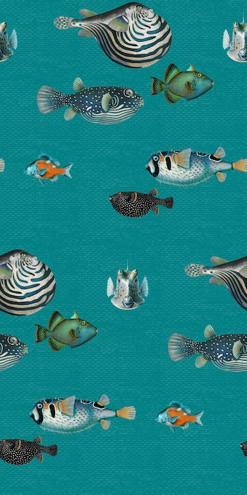 Acquario Fish Pattern Wallpaper | Happywall