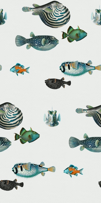 Aquarium Fish Pattern Wallpaper in Blue