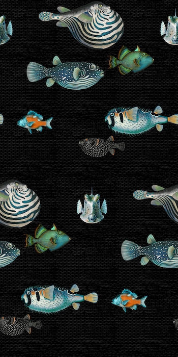 Black Fish Pattern Wallpaper for Aquatic Lovers