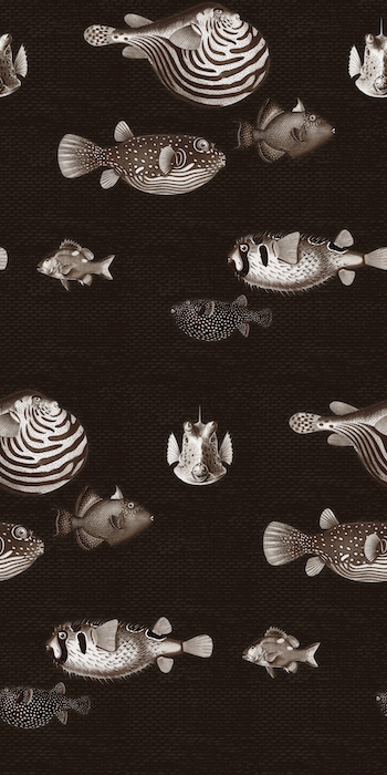 Neutral Fish Pattern Wallpaper for Aquatic Themed Rooms