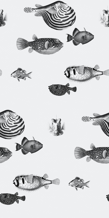 Black and White Fish Pattern Wallpaper