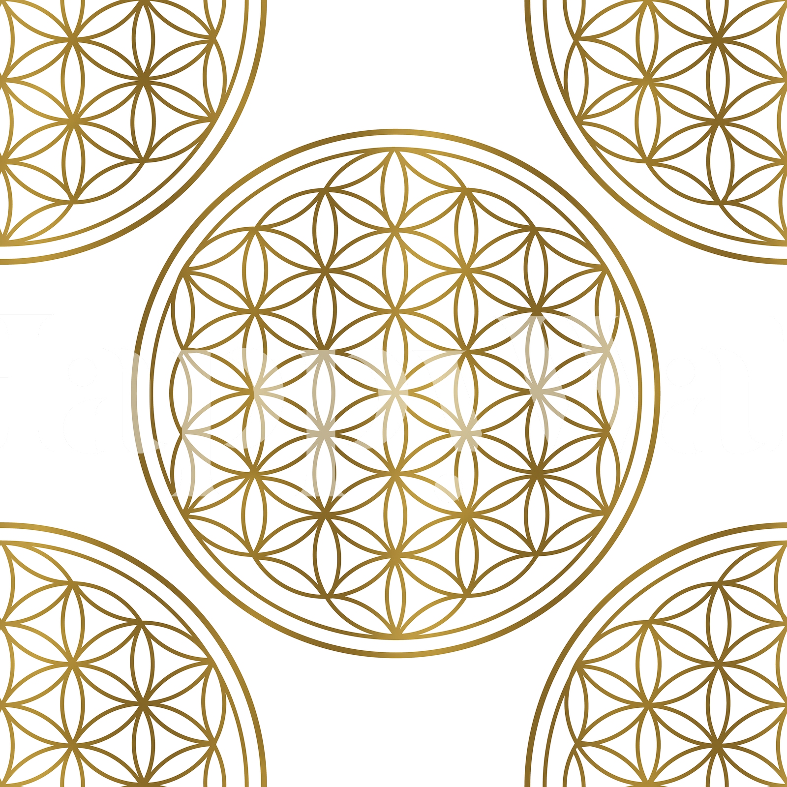 Flower Of Life Wallpaper What Does The Flower Of Life Mean In Sacred